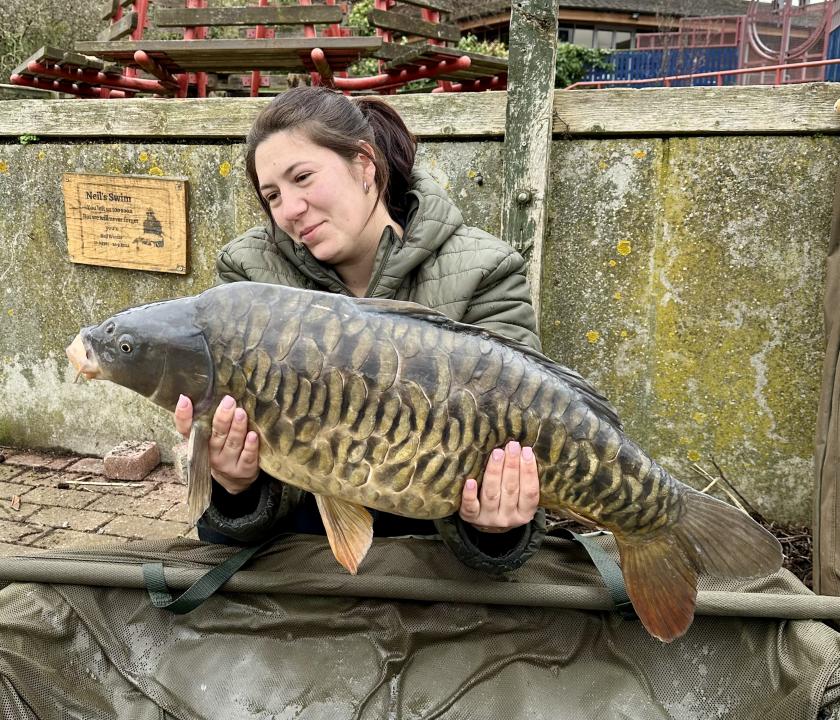Fully scaled | Total Carp